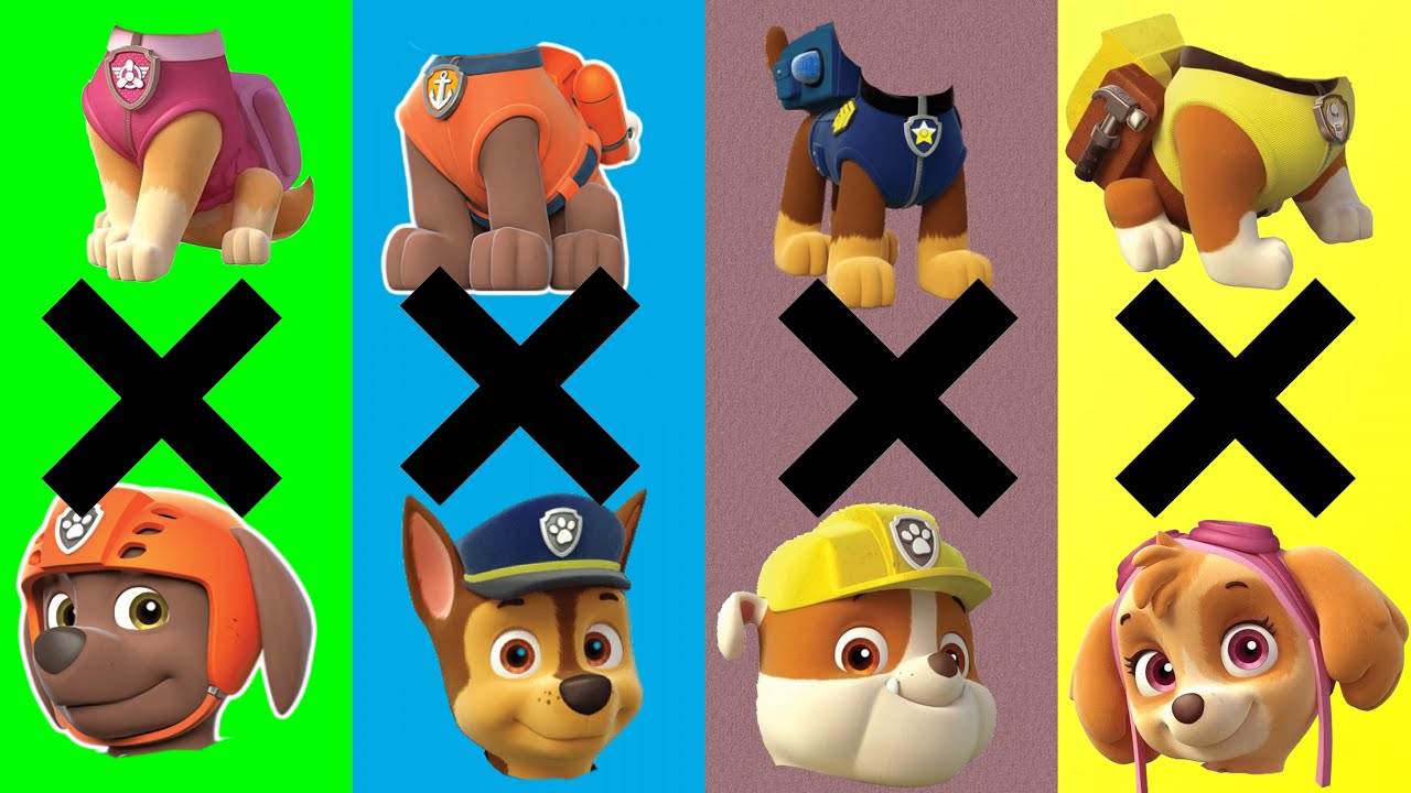 PAW PATROL | MATCH THE HEAD - YouTube