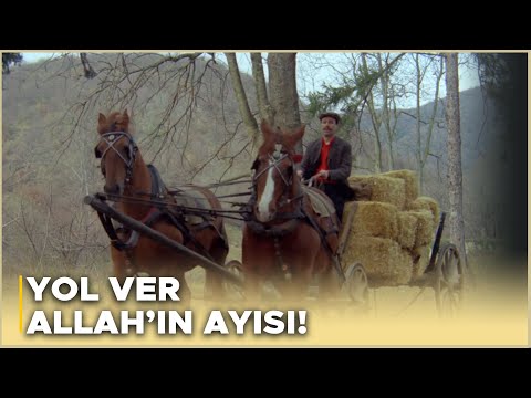 Sosyete Şaban Türk Filmi | Şaban Ağa ile Peri Kavga Ediyor