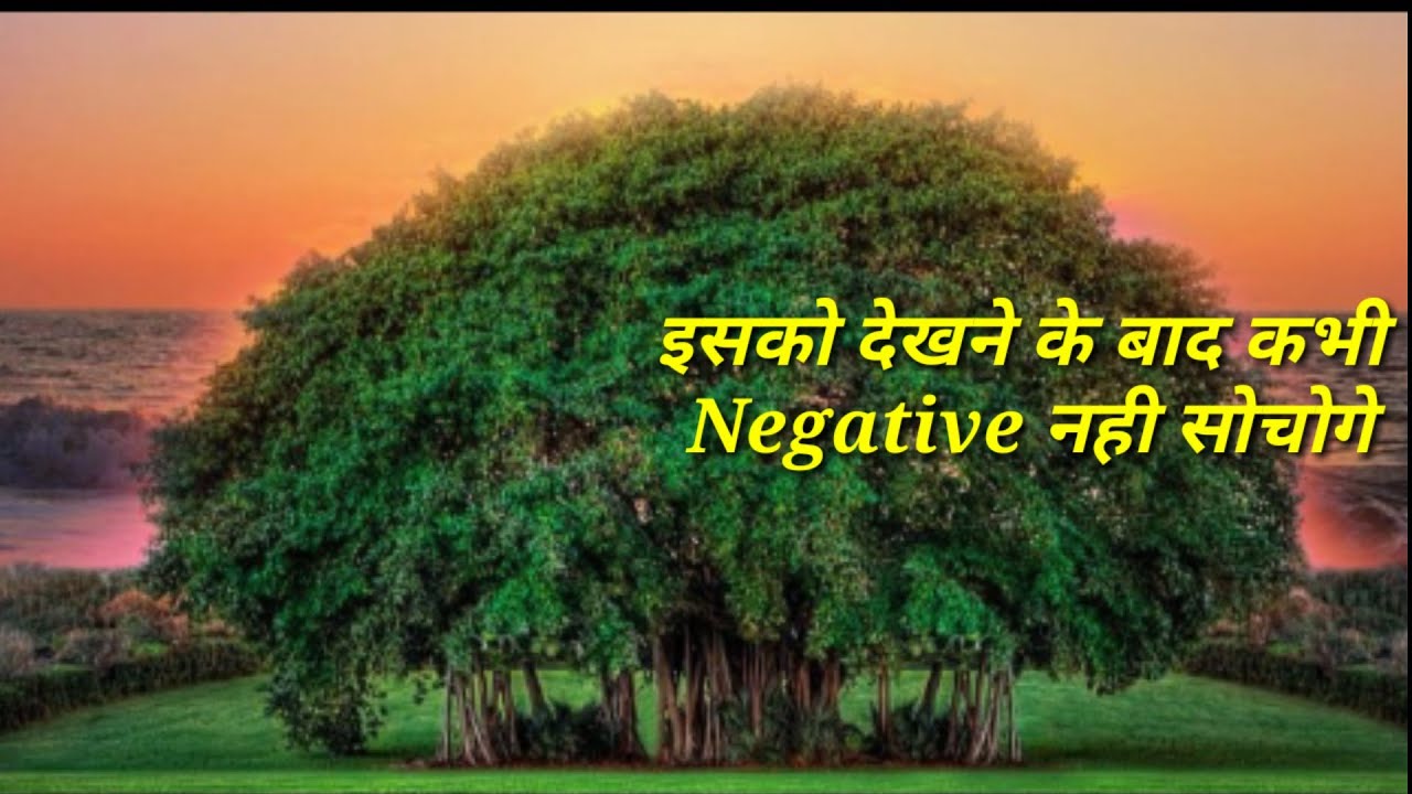 कल्पवृक्ष की कहानी ।। kalpvriksh ki kahani - YouTube