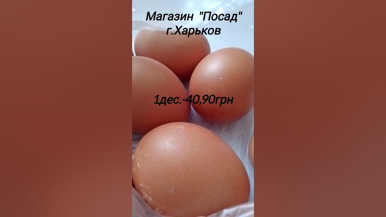 Цена за 1 десяток яиц куриныеяйца яйца ценывукраине ценывхарькове