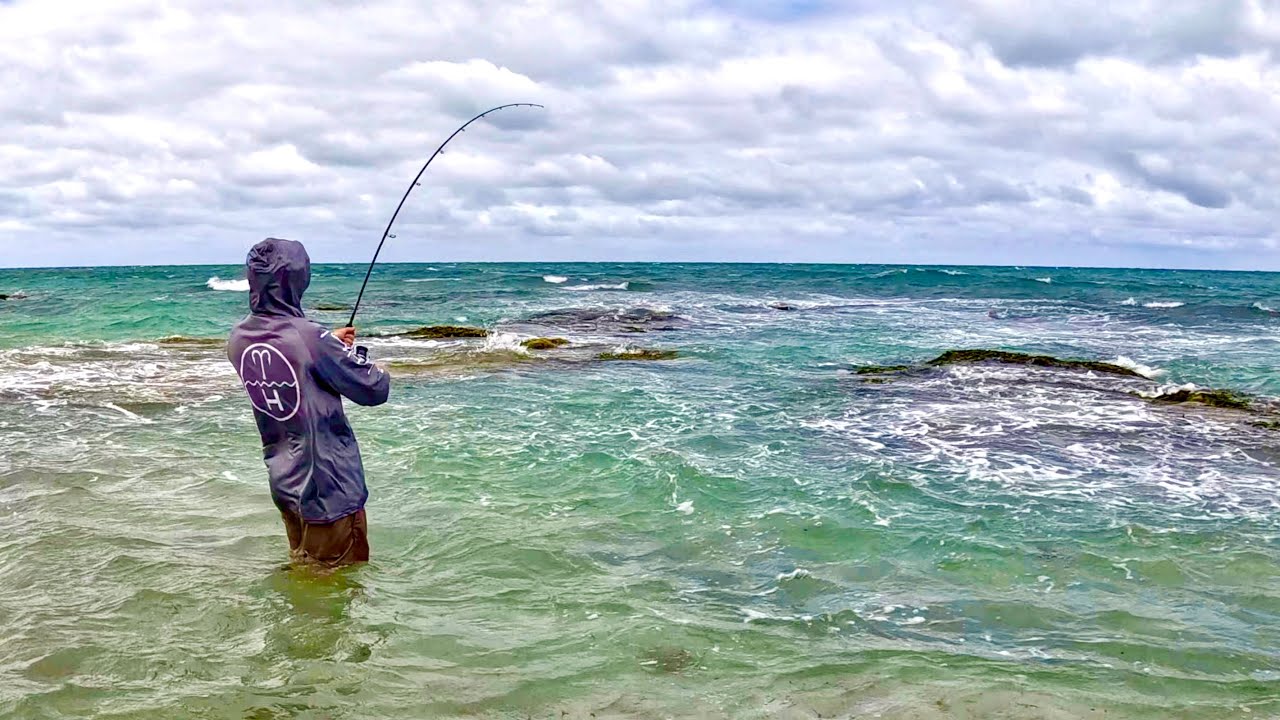 Beach Fishing Tailor Big Fish HARD Work - YouTube