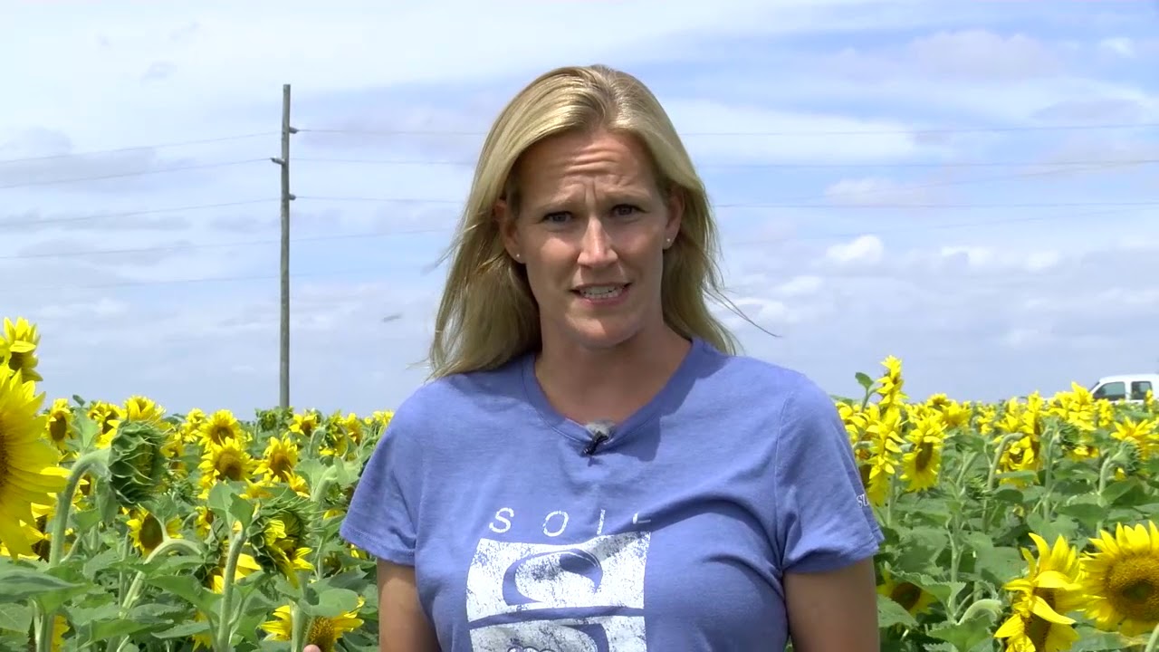 AgweekTV: Soil Health Minute - YouTube