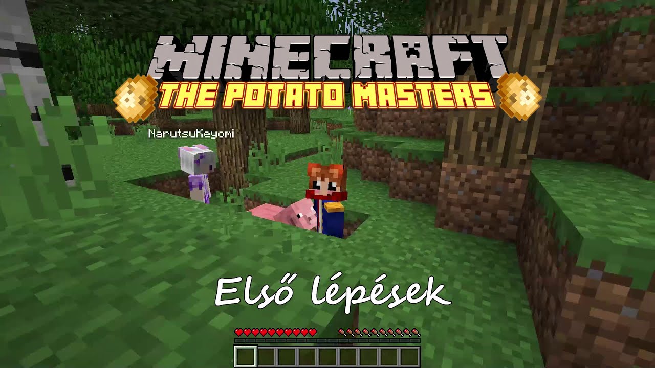 [HU] Minecraft #01 - 1.9 első lépések és az Asszimetrikus Rókakastély ...