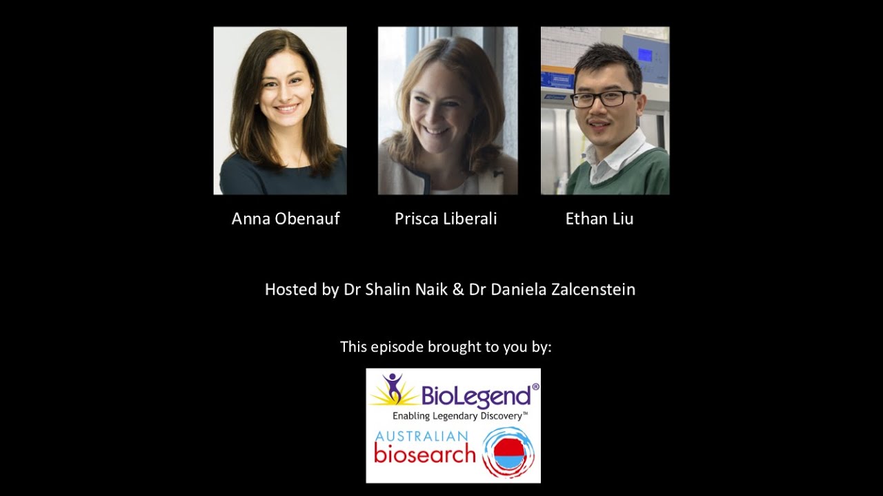 Oz Single Cell - Lineage Tracing - YouTube