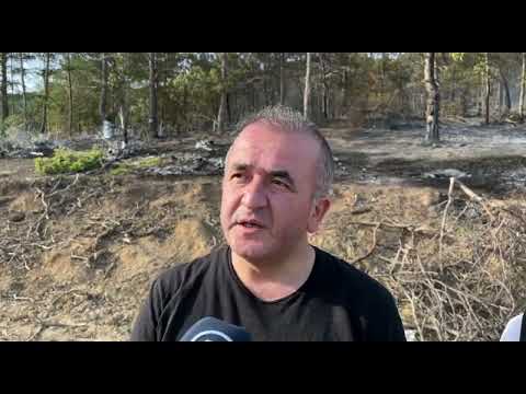 TOKAT ÇAMLIK KÖYÜNDE ÇIKAN ORMAN YANGININA ZAMANINDA MÜDAHALEYLE SÖNDÜRÜLDÜ