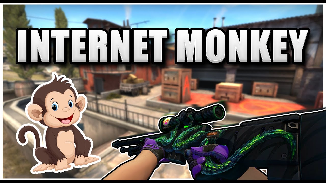 INTERNET MONKEY 🐒 - YouTube