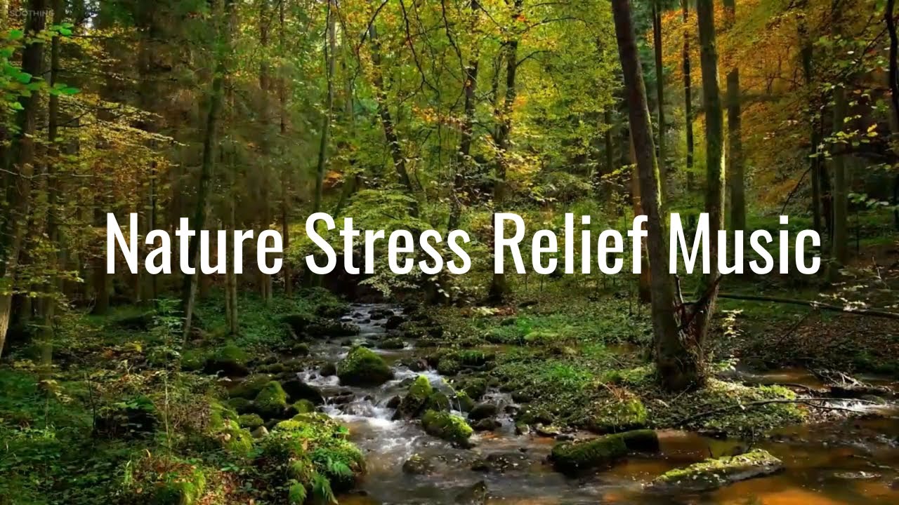 1 Hour of Nature Stress Relief Music to Help You Fall Asleep Fast - YouTube