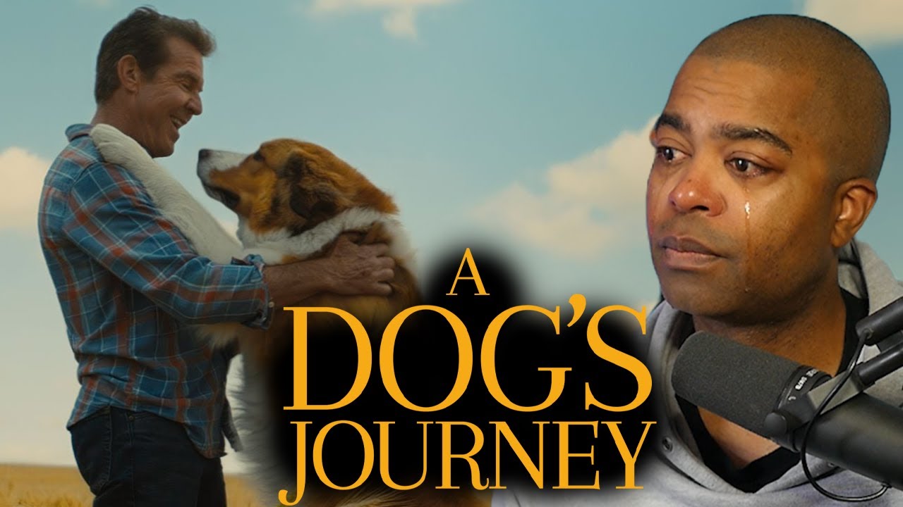 A DOGS JOURNEY (2019) HAS MADE ME A DOG LOVER - MOVIE REACTION - YouTube