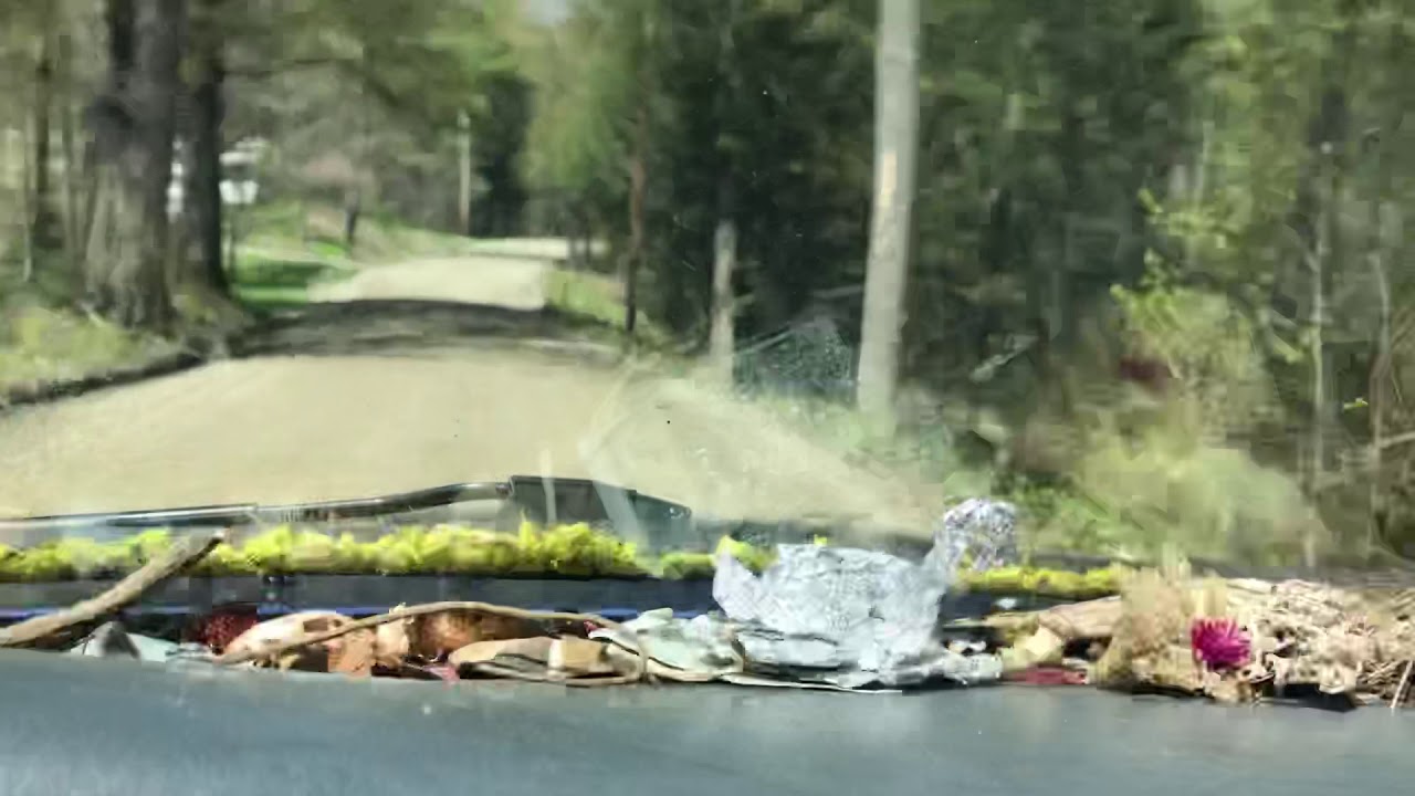 Rattle dash - YouTube