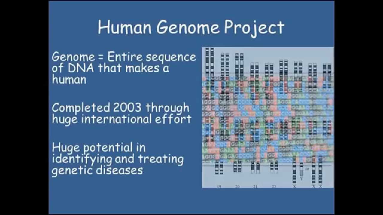 DNA structure & HGP (GCSE Combined Science Biology) - YouTube