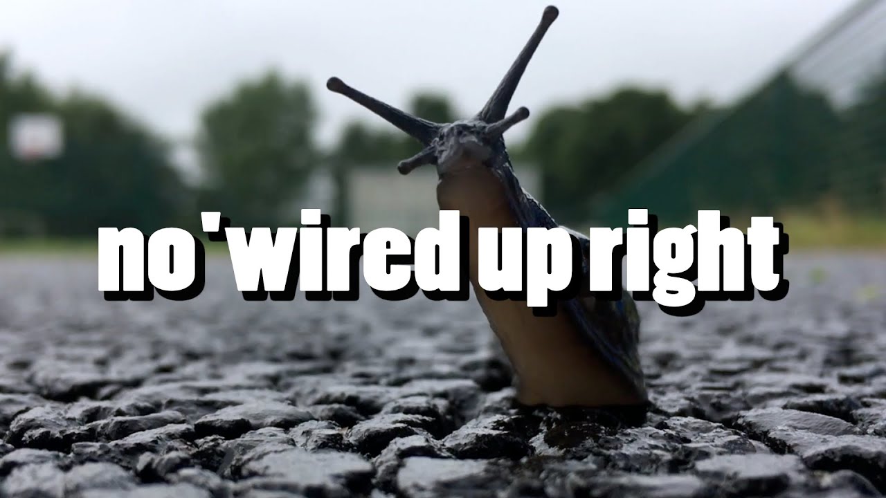 S. McCammon - No' Wired Up Right (Official Music Video) - YouTube