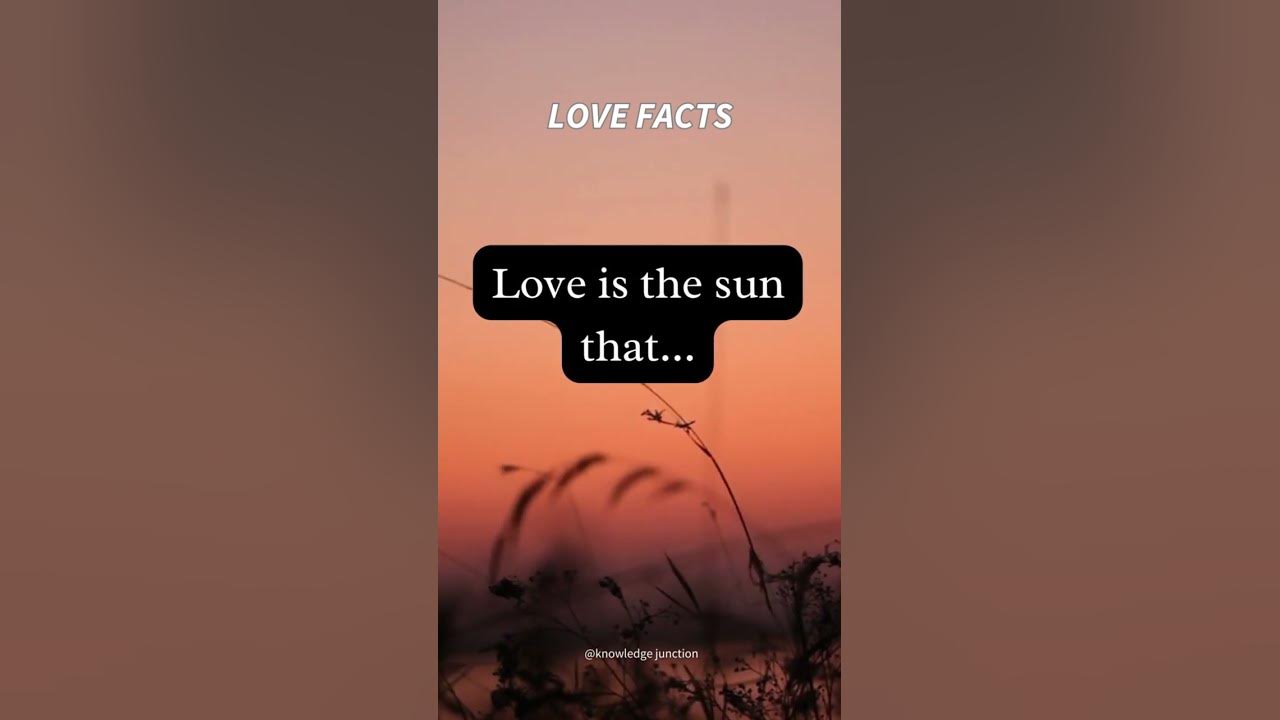 Love Facts YouTube love-facts-youtube