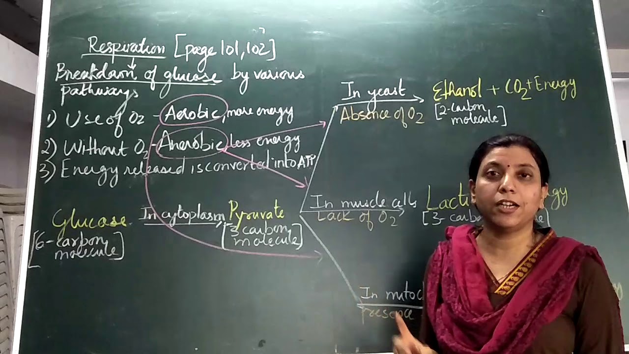 Vandana rao - YouTube