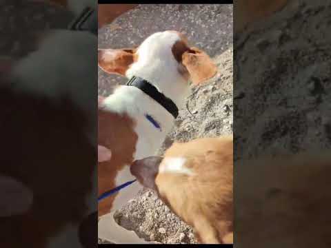 Pele und Mele im Dezember 2023