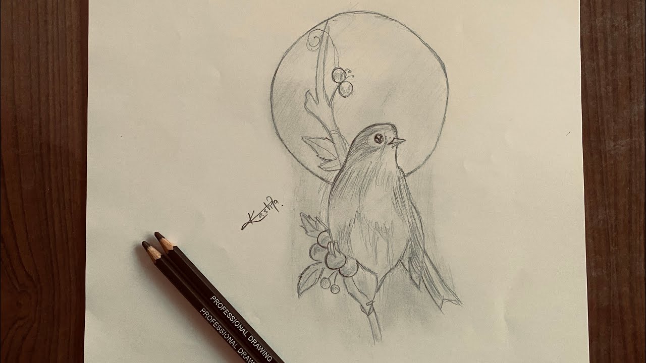 How to draw a Bird Scenery with pencil step by step | Drawing for ...