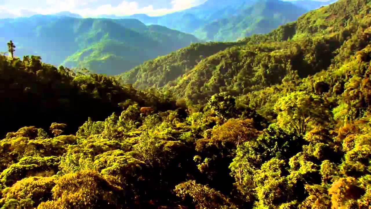 HOME - a film by Yann Arthus-Bertrand (2009) - YouTube