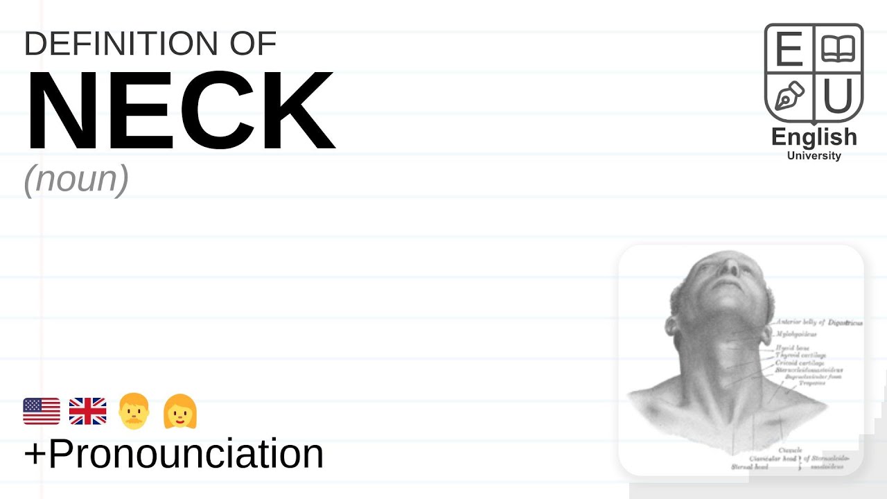 NECK meaning, definition & pronunciation | What is NECK? | How to say ...