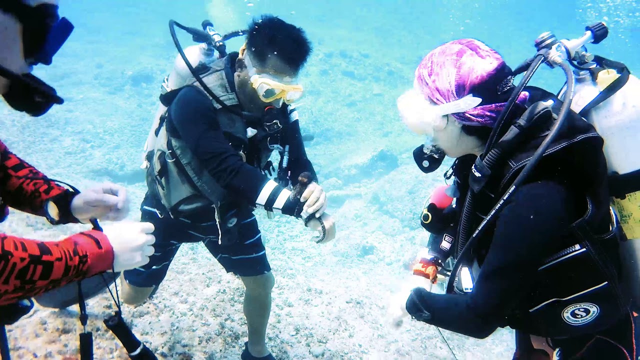 GUAM turtle rock & spanish steps diving - 괌 다이빙 포인트 터틀락 - YouTube