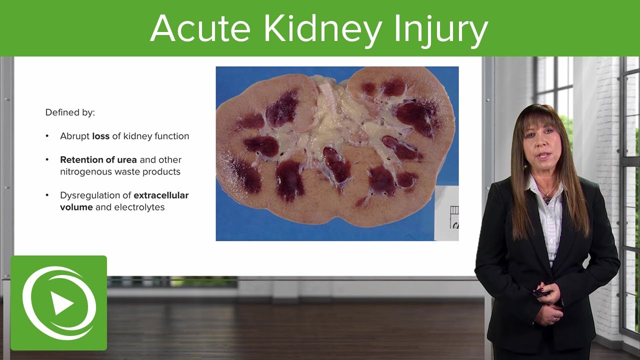 Acute Kidney Injury (AKI): Staging and Etiology – Nephrology | Lecturio ...