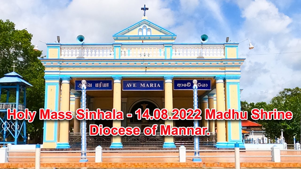 Holy Mass Sinhala - 14.08.2022 Madhu Shrine, Diocese of Mannar. 🔴 - YouTube