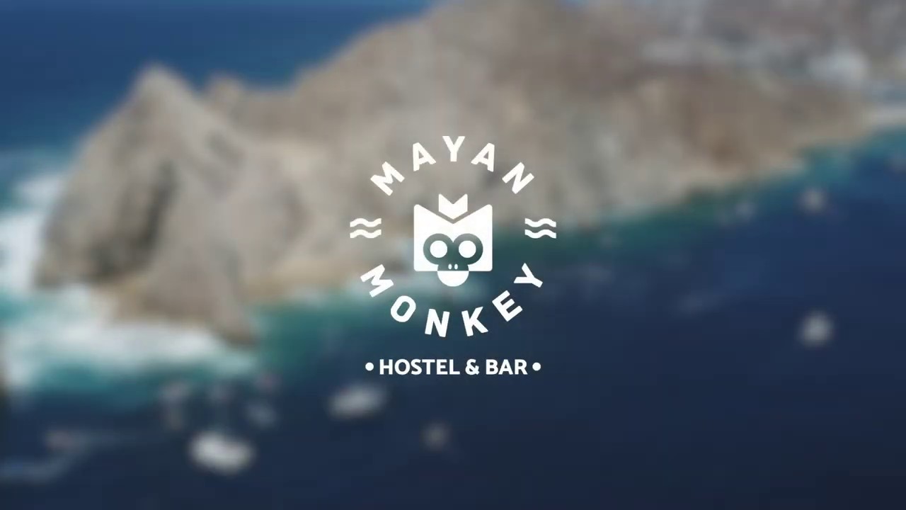 Mayan Monkey: The best hostel in Cabo San Lucas 🐒 - YouTube