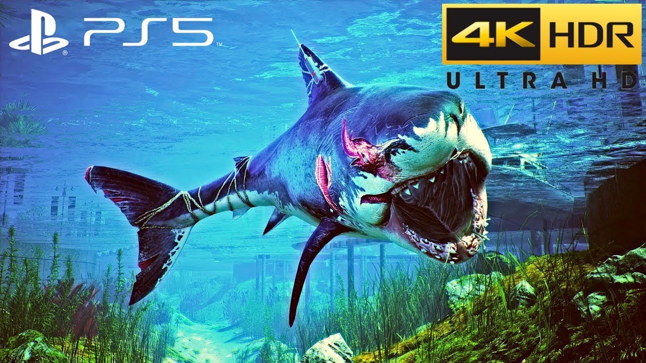 Man Eater Gameplay PS5 4k - YouTube
