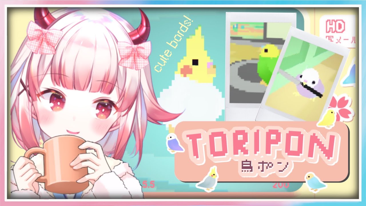 【Toripon 鳥ポン】Bird Watching at Home?! 📸 - YouTube