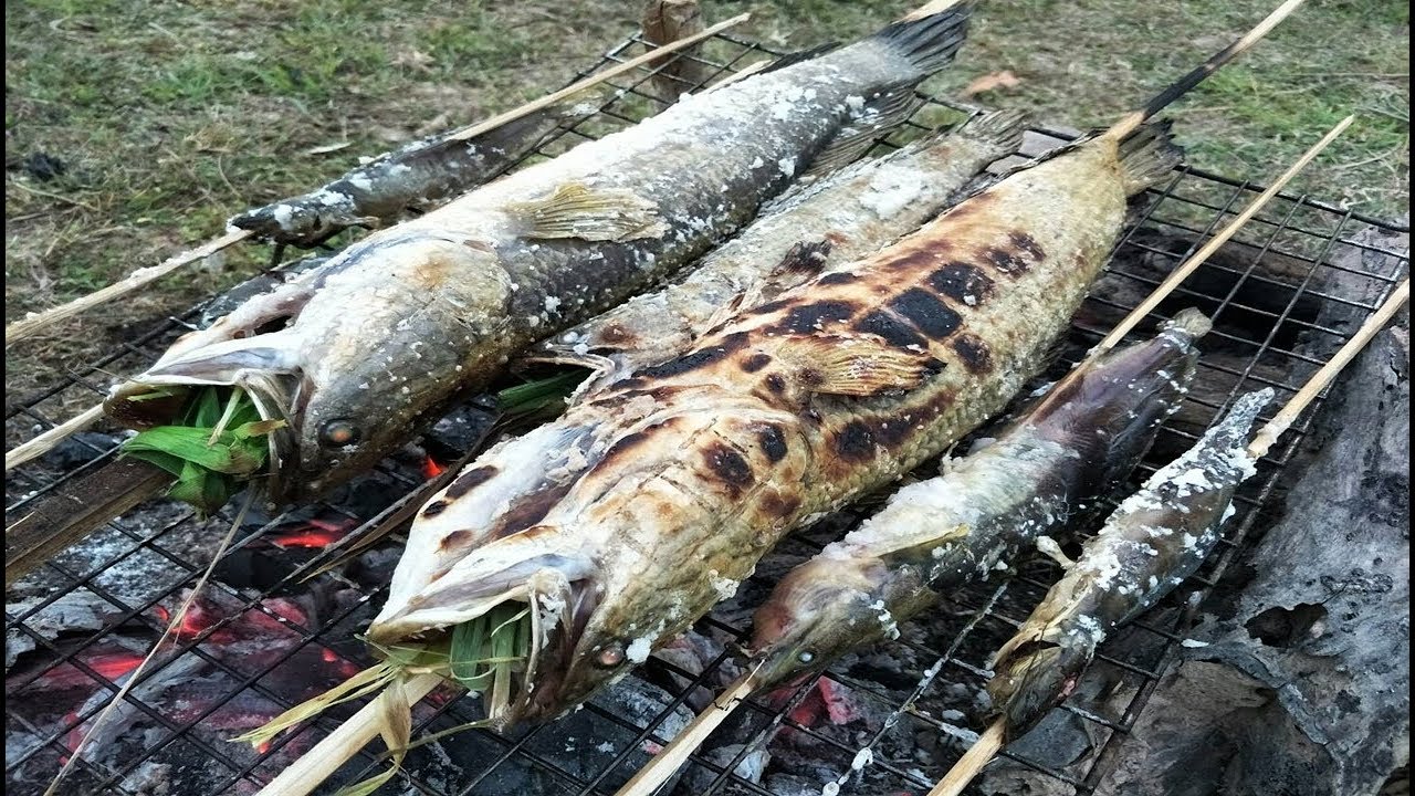 Grilled fish for dinner , Laos Food - YouTube