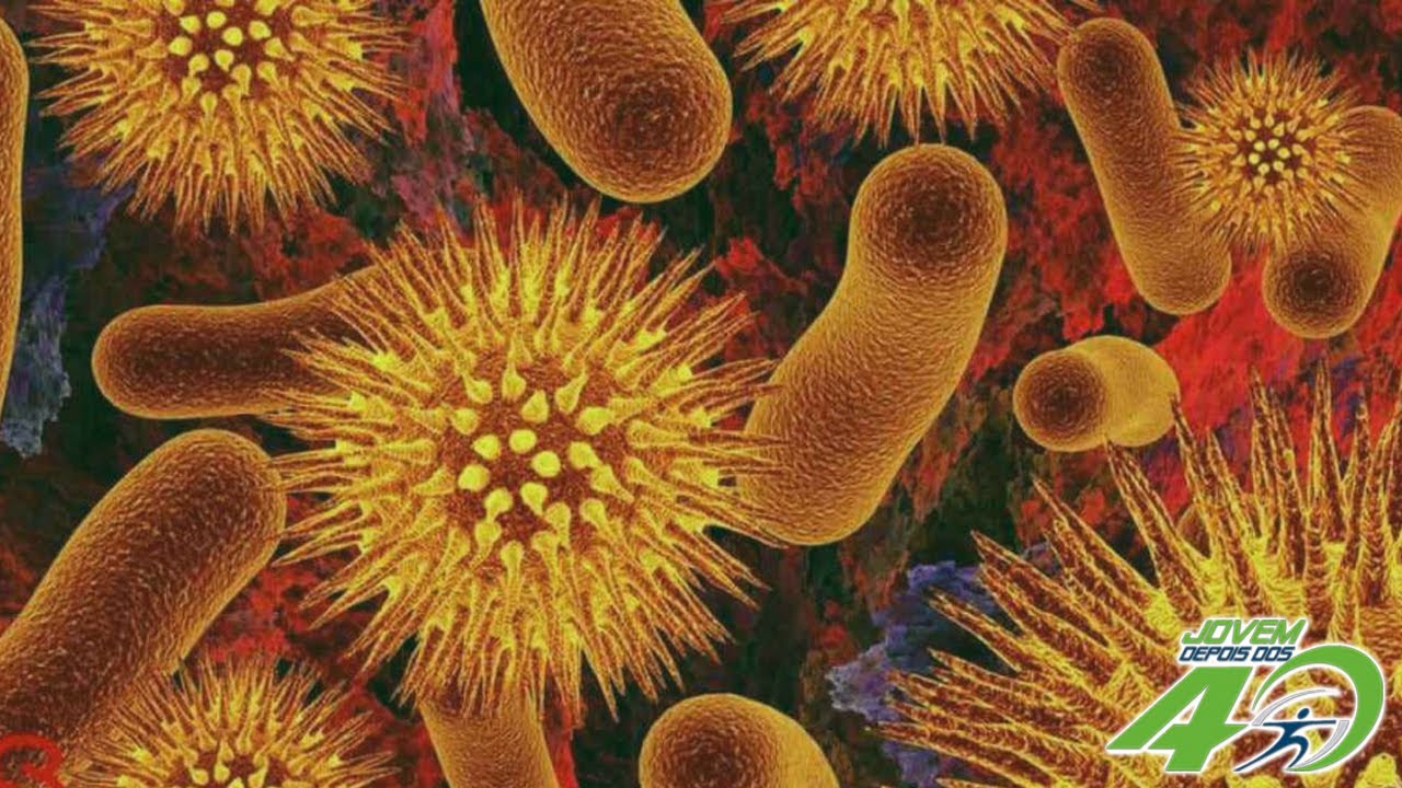 Toxinas No Corpo Humano Resumo Do Sistema Urinário: Anatomia,
