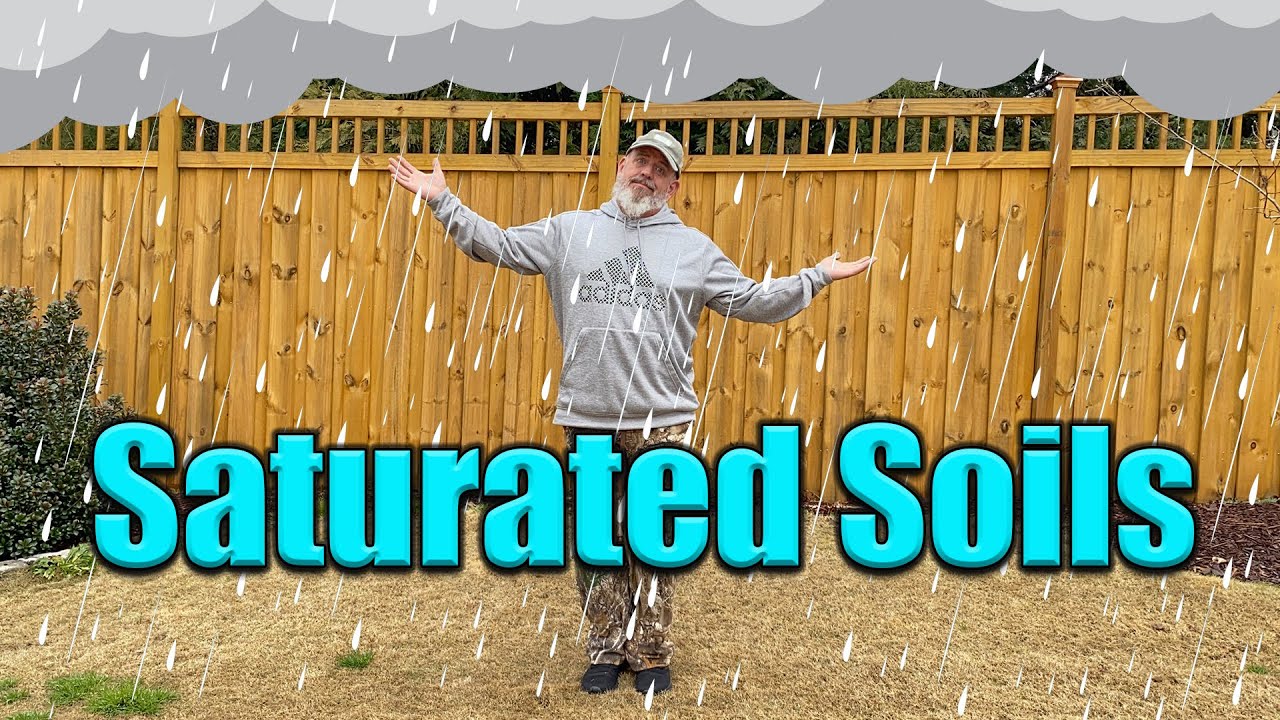 Heavy Rain Saturated Soils Lawn Care - YouTube