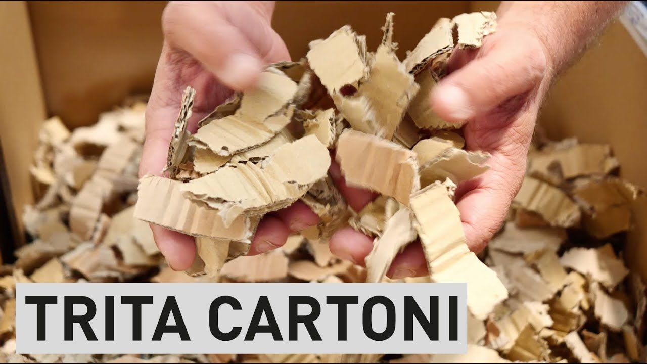 Trita cartoni usati: Tritacartoni Trituratore Distruggi cartone ...