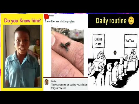 Funny memes which will make you laugh d12| Fusion of memes - YouTube