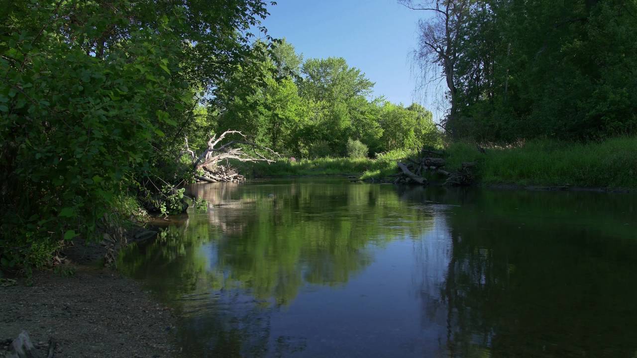 4K Landscape Scene - MorningLight02 - Free Stock Footage - YouTube