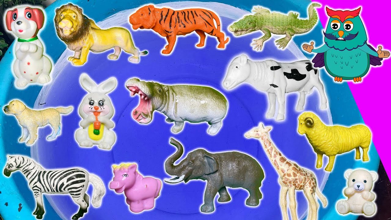 Animal Size Adventure! | From Tiny Mouse to Giant Elephant 🐭🐘 | Kids ...