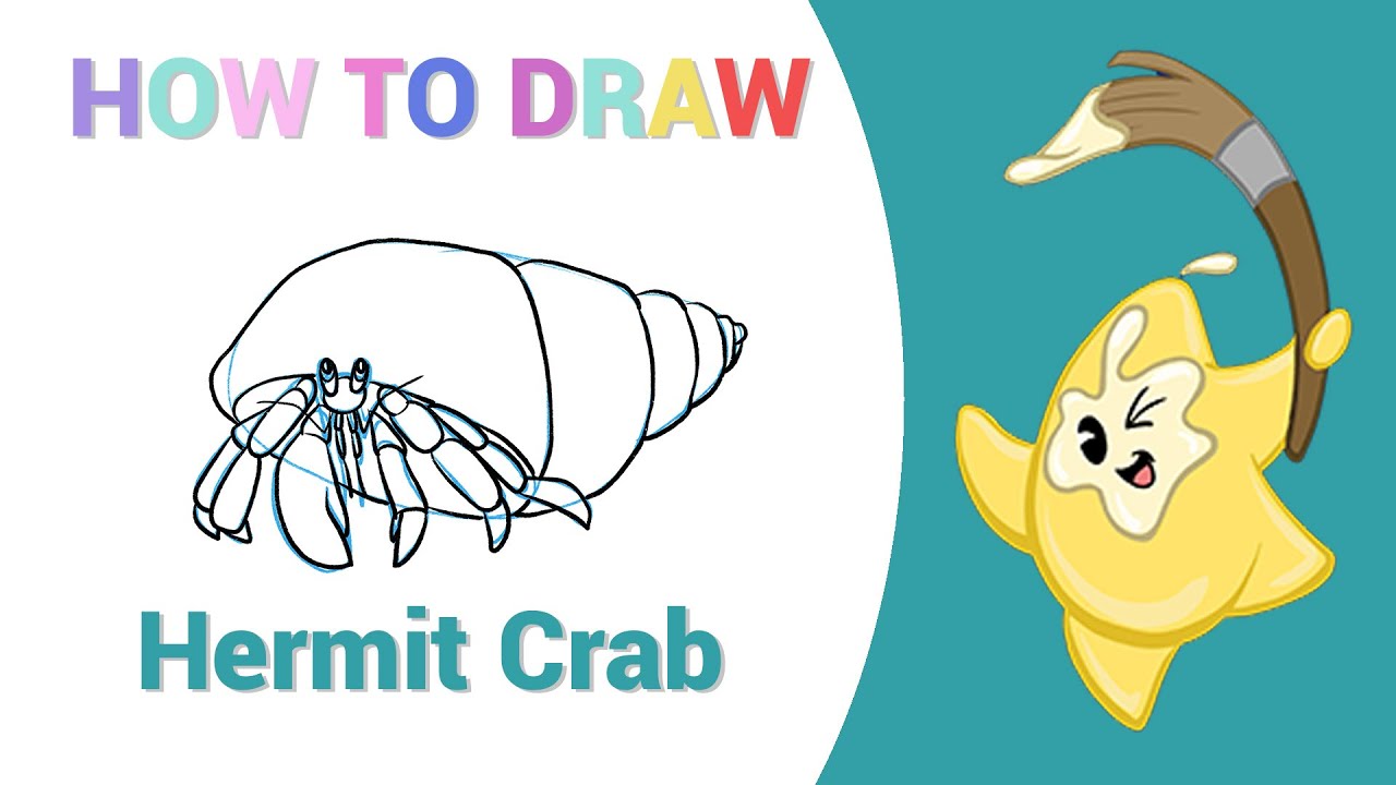 Step-by-Step Guide: How to Draw a Realistic Hermit Crab (Easy steps ...