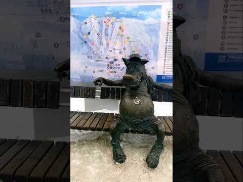 #Krasnoyarsk#Yenisei#Beautiful bridges#Night city.#Beautiful city.