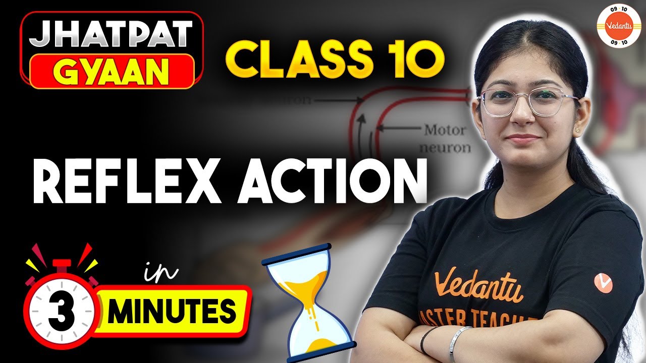 Reflex Action Concept in 3 Minutes | Control & Coordination Class 10 ...