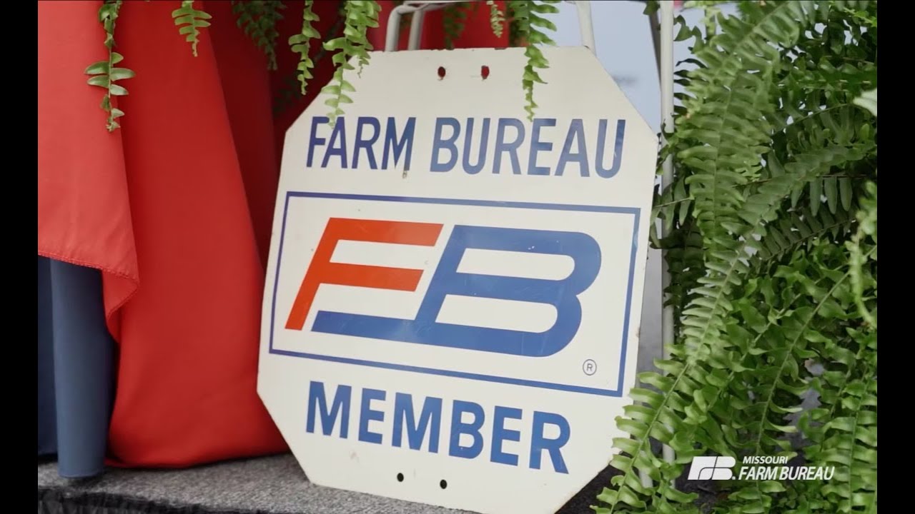 Governor Mike Kehoe Signs SB 79 - YouTube