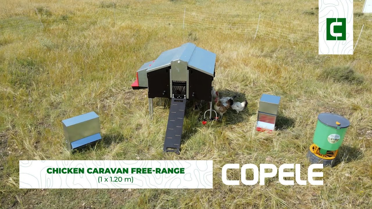 Chicken Caravan Free-Range 1x1.20 m - Promo | Copele - YouTube