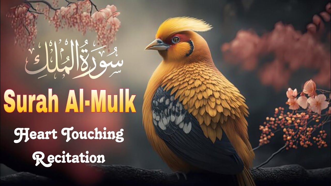 Surah Mulk || Epi 93 || Surat Al Mulk || Relaxing Heart Touching ...