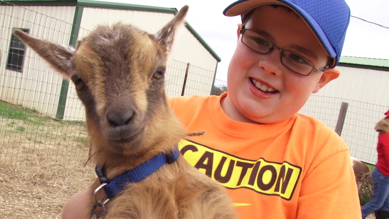 A Day at a Farm - YouTube
