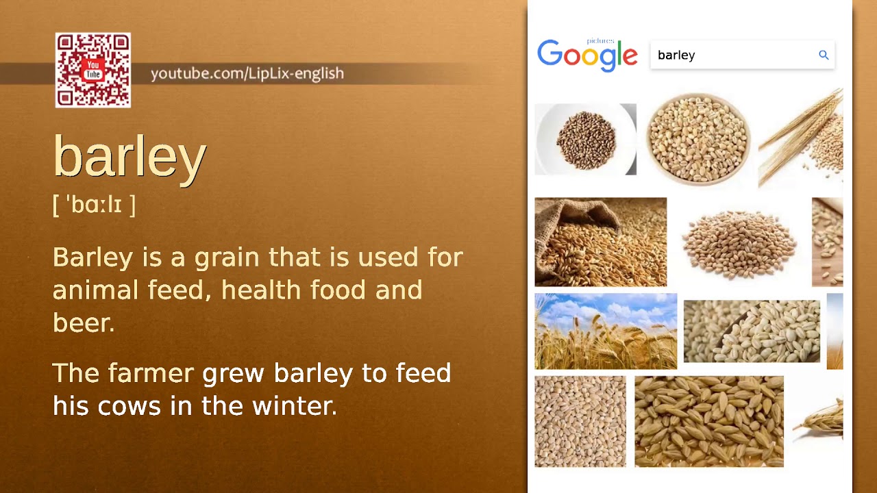 Barley : C1 level english vocabulary lesson, www.LipLix.com - YouTube
