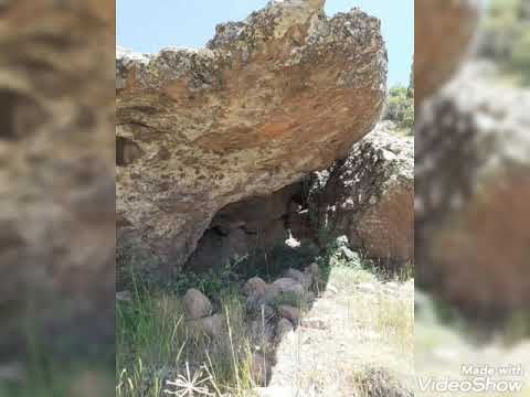 BASAK KÖYÜ ABDULLAH PAPUR BİR KUŞ KONMUŞ