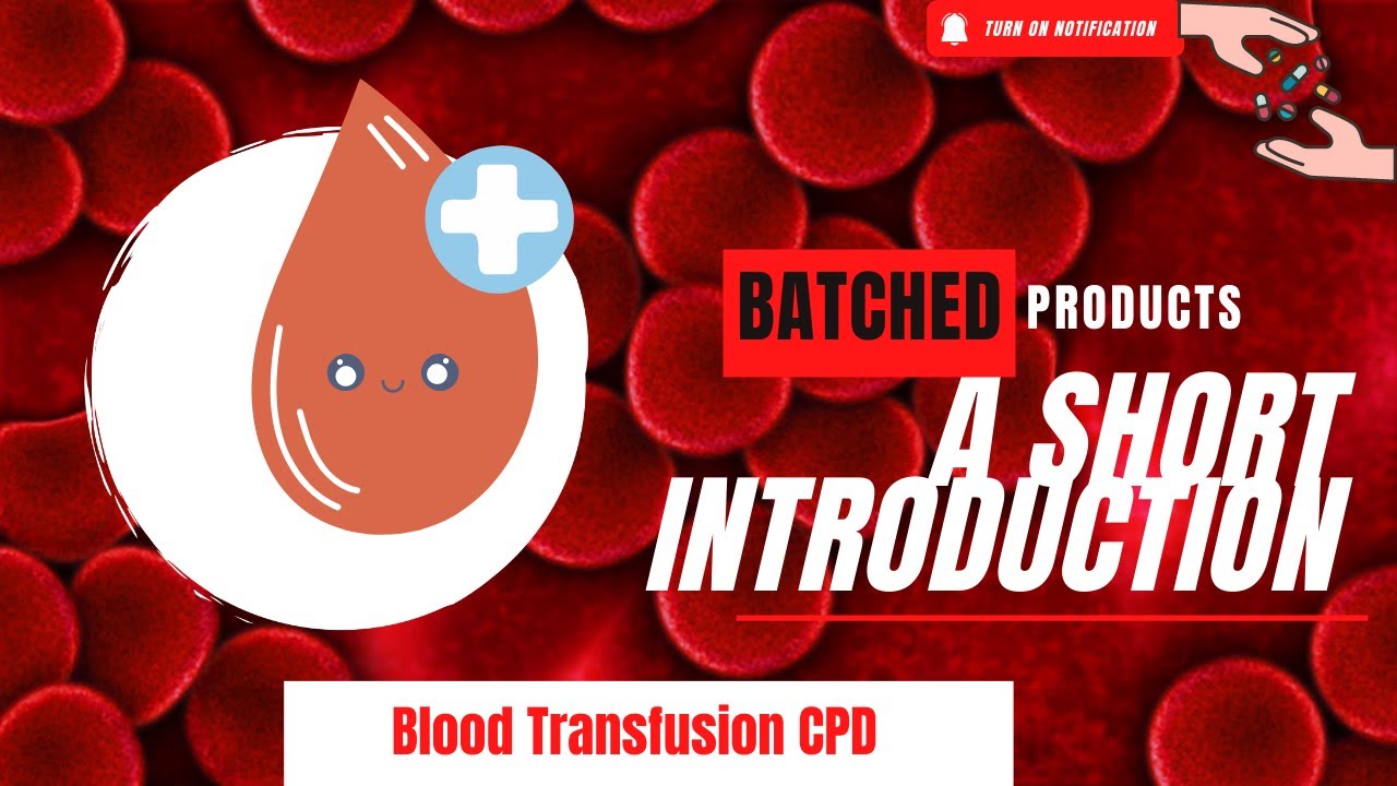 Introduction to Batched Products - YouTube