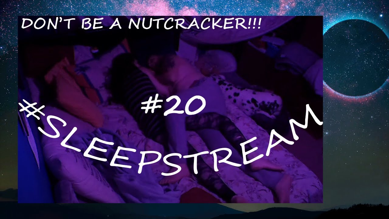NIGHT LESSONS but we are ONLY sleep. Just sleeping LIVE SLEEP STREAM 20 ...