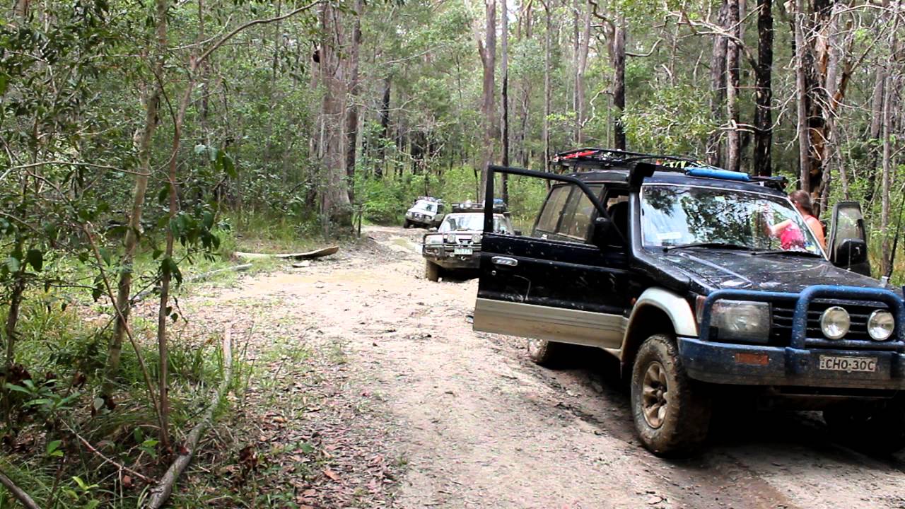 Paj and Patrol in bog hole at Candole State Forest - YouTube