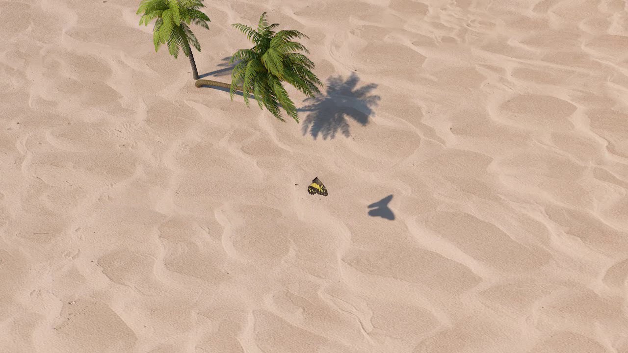 Short Animation - YouTube