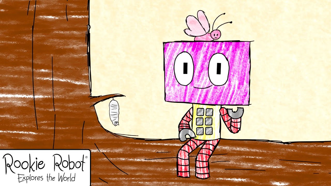 Rookie Robot🤖 | S1 EP 06 |🦋 Magic! – Rookie And The Butterfly | Funny Cartoons For Kids - YouTube