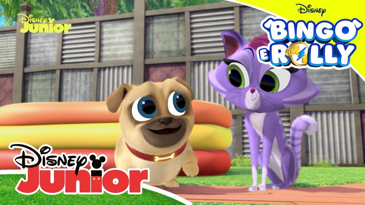 Bingo e Rolly - Brincar com Bingo e Rolly: Segue o Líder - YouTube