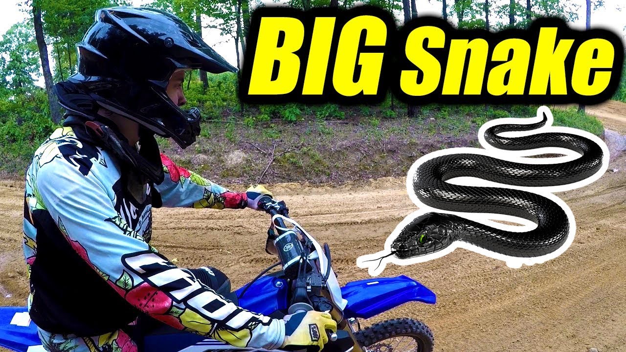 BIG Snake on The Motocross Track!!! - YouTube